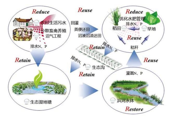生态环境网图标