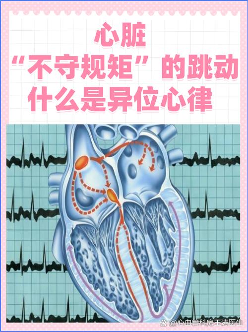心脏不规则跳动咋回事图标