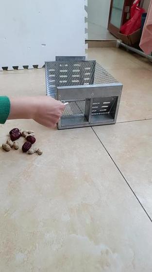 十大新型自动捕鼠器游戏截图