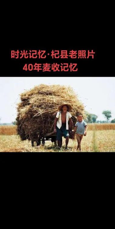 抖音老旧版本大全所有历史版本图标