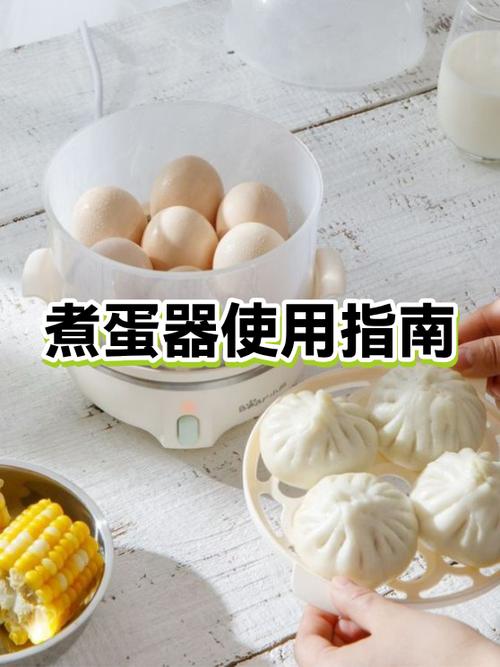 怎么使用煮蛋器游戏截图