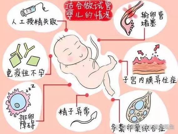 初一女生有生育能力吗图标