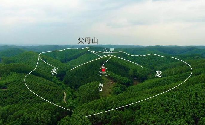 出大人物的风水预兆截图