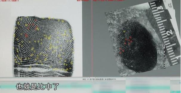 支付宝指纹解锁失灵原因图标