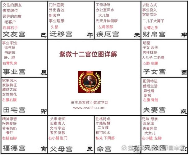 紫微斗数宫位排序截图