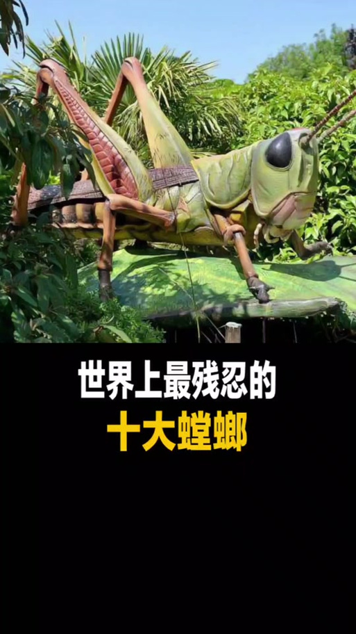 螳螂大乱斗进化顺序截图