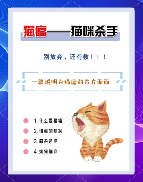 猫咪通知为什么杀毒软件