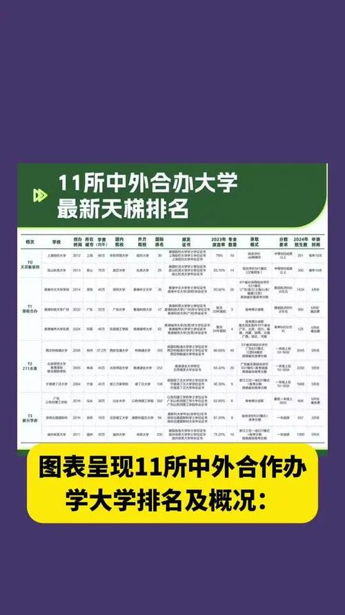 中外合作办学大学一览表截图