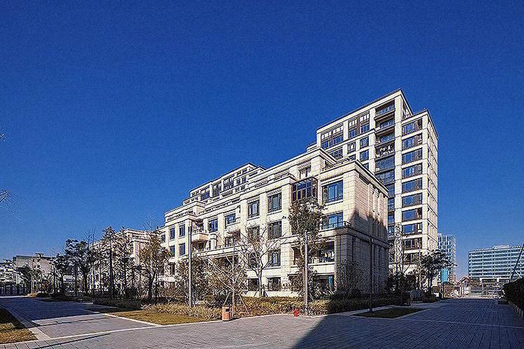 财大门户截图