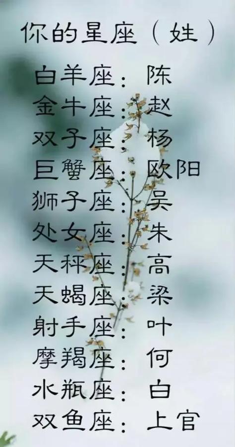 十二星座隐藏名字图标