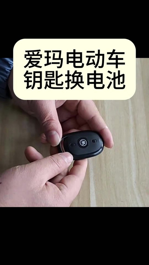 两轮电动车钥匙怎么换电池图标