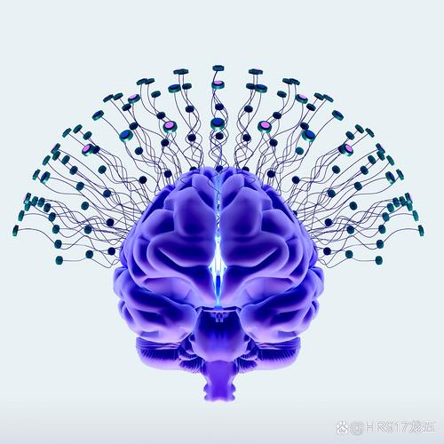 大脑寿命多少年图标