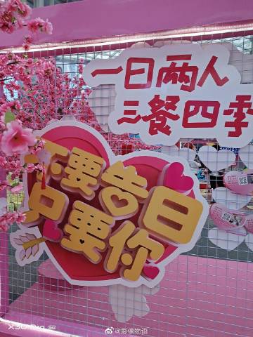 女性物语36柱子答案