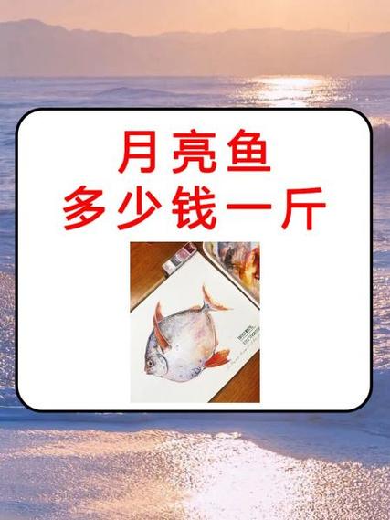 鱼多少钱一条截图