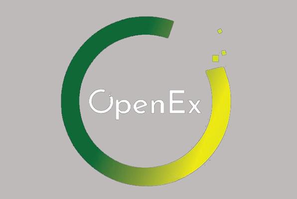 中本聪oex币现在价格图标