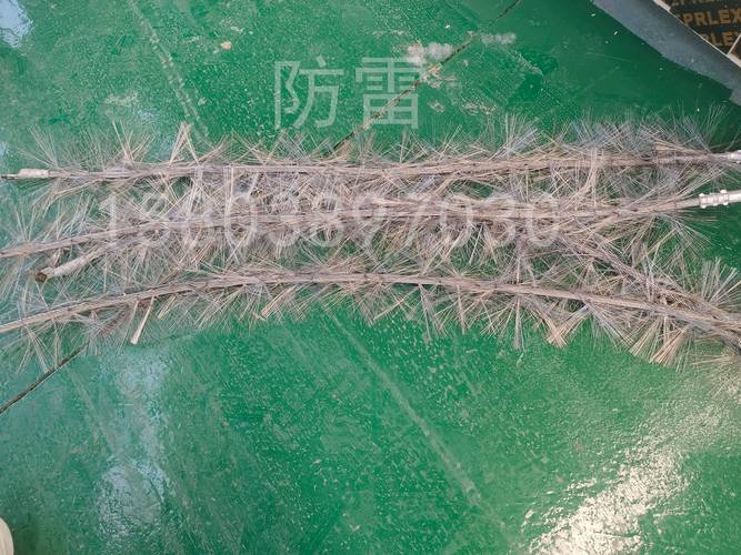避雷保护器图标