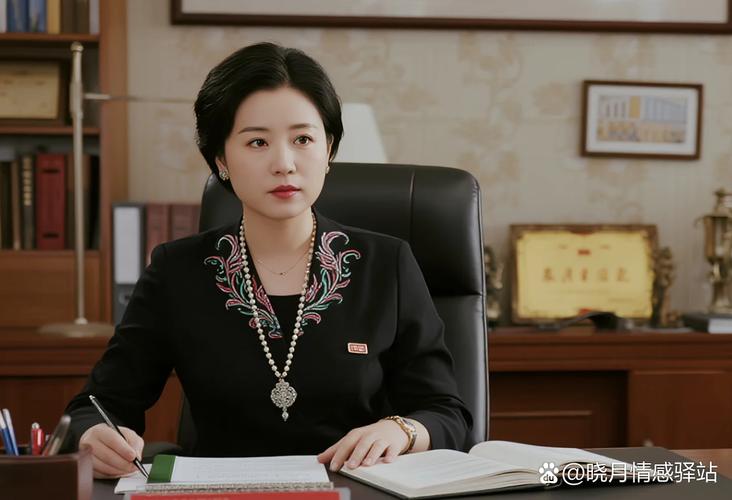 婚姻危机王晓迪截图