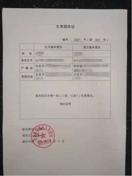 生育登记证明打印入口截图