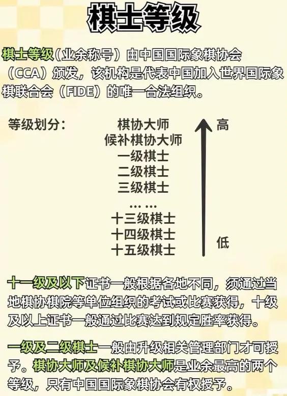 国际象棋1级是什么水平图标