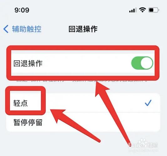 辅助触控是什么意思图标