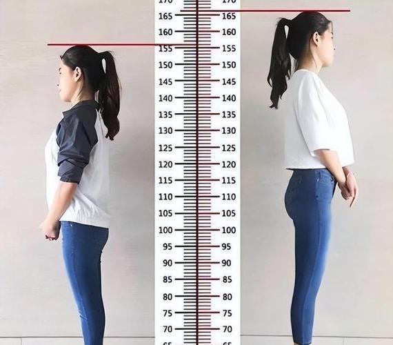 身高模拟器手机版图标