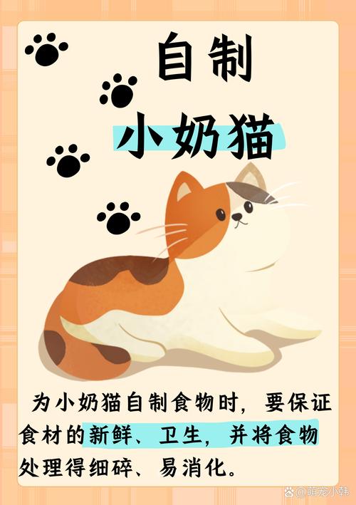 怎么对付可可猫图标