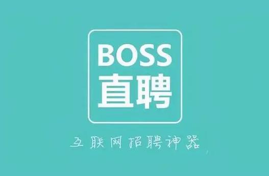 boss直聘官网网页版图标