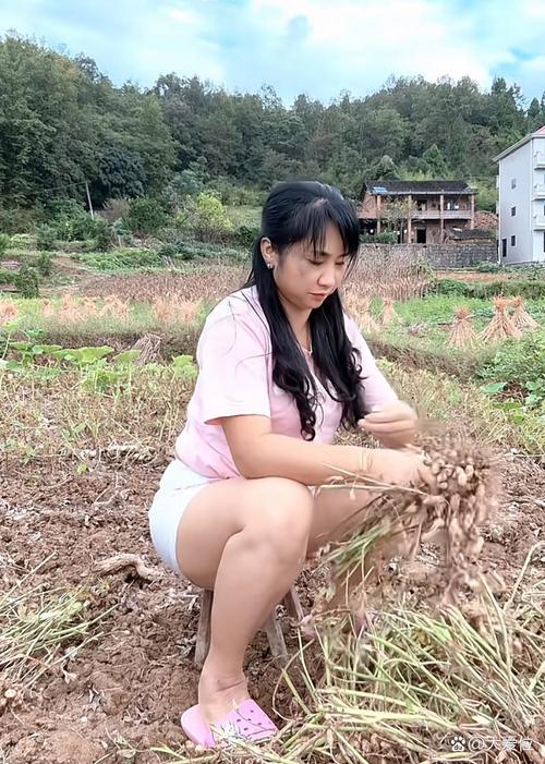 超级空间小农福妇