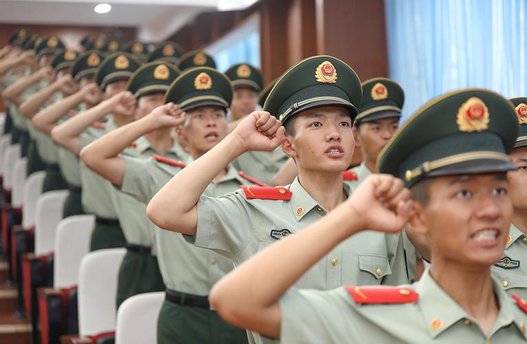 宣誓姿势(标准图)