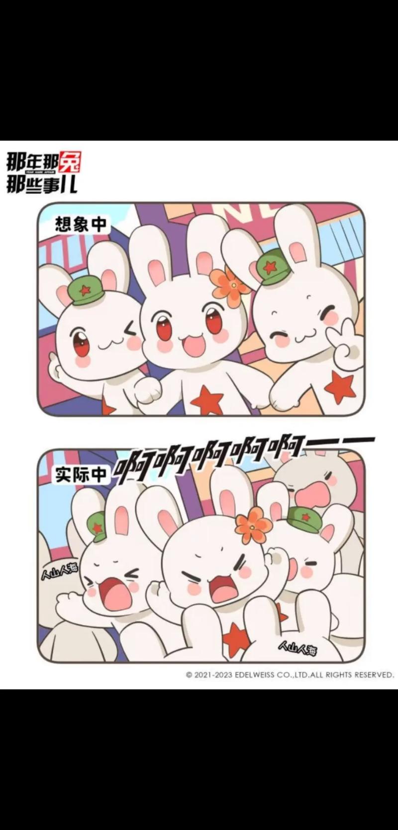 兔聊旧版本图标