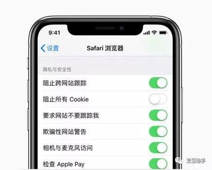safari浏览器的数据隐私保护图标