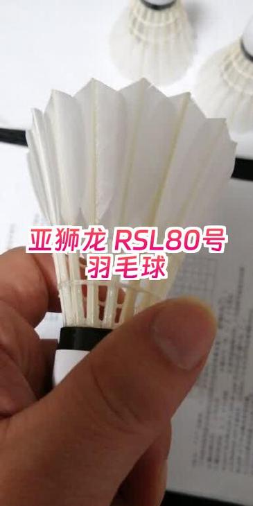 亚狮龙羽毛球1-10号区别截图