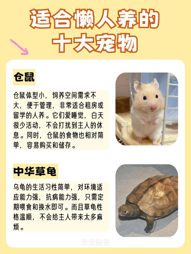 家养宠物图标