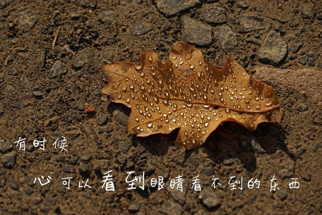 QQ发的说说的照片会在相册里图标