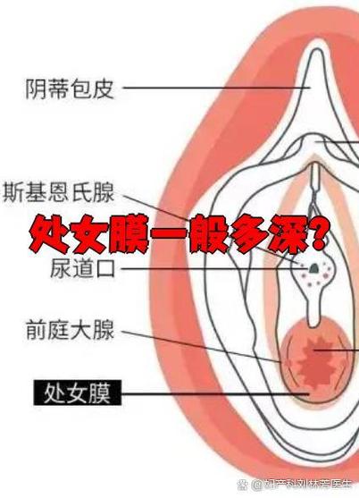 隐空间位置保护在哪图标