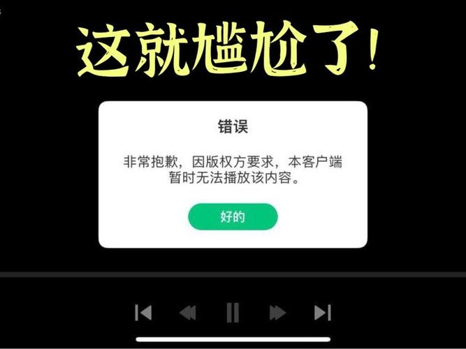 演讲者模式无法播放视频截图
