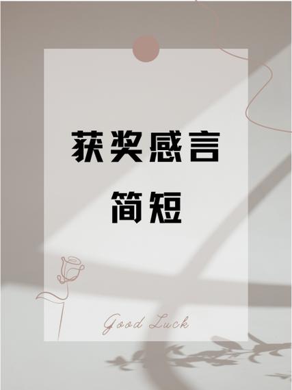 加盟商获奖感言简短图标