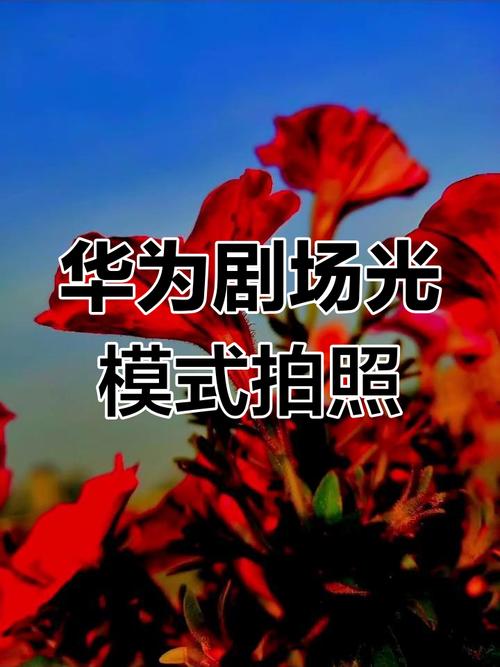 华为手机拍照剧场光图标