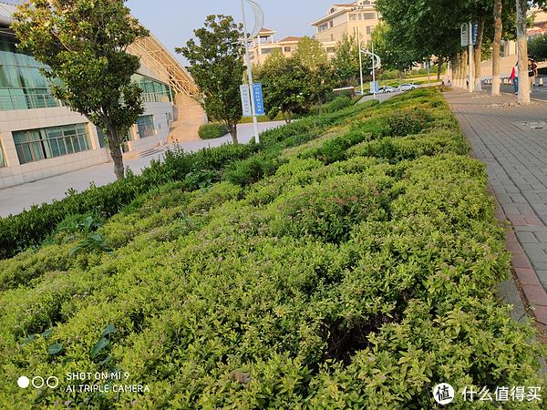 小米9谷歌相机图标