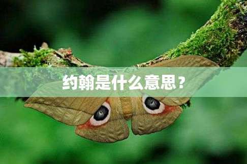 约翰的中文意思是什么截图