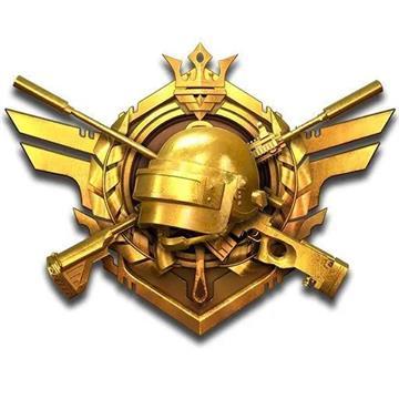 和平精英团队竞技徽章图标