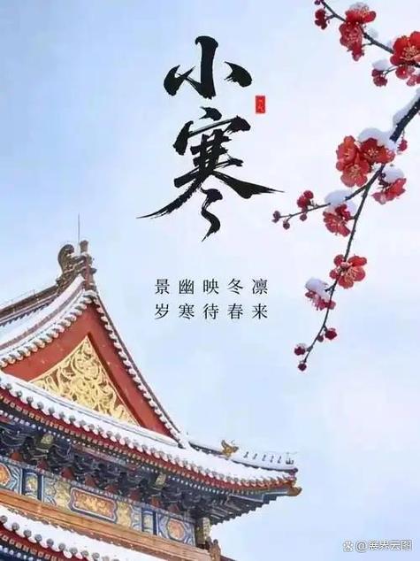 1月5日截图