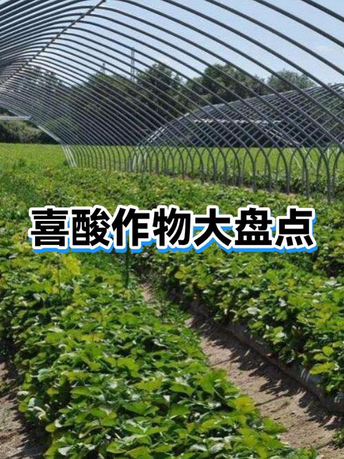 ph值对照表图标