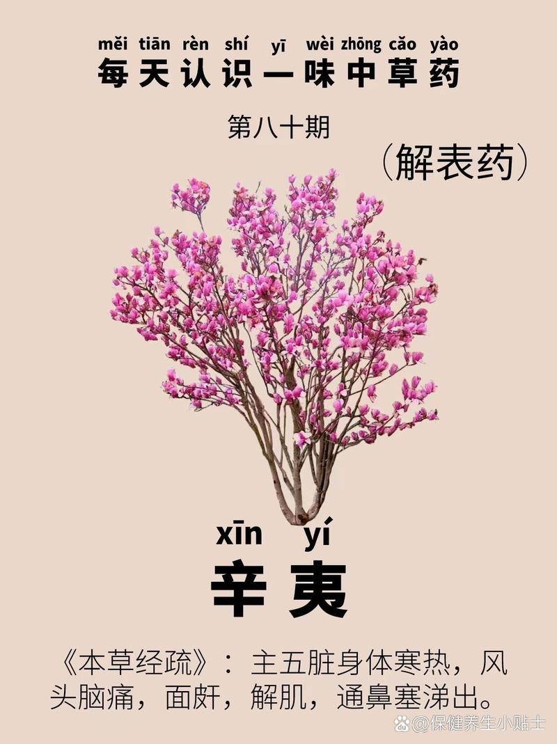 辛夷煎多久图标
