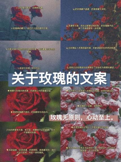 朋友圈文案前缀截图