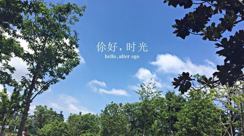 手机用什么软件拍视频图标