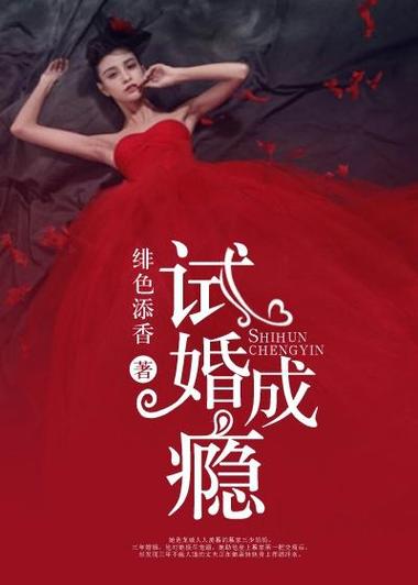 试婚成瘾图标