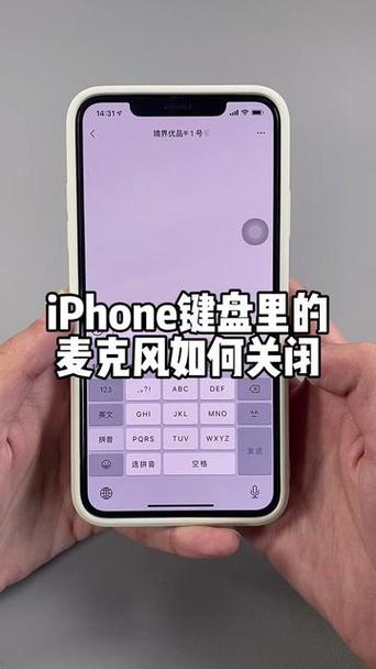 苹果11左上角有个麦克风怎么关闭图标