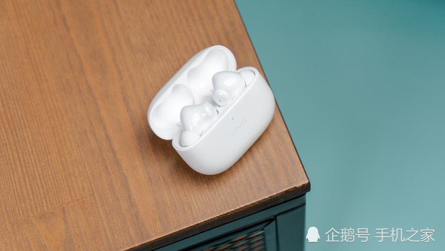 vivotws2e配对