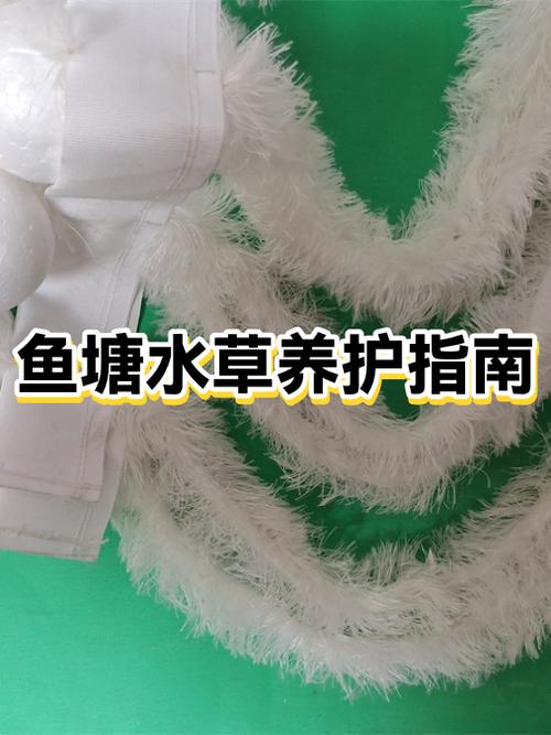 水草种子种了后不翻缸可以吗图标